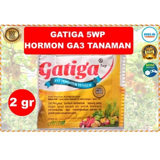Jual Gatiga 5 WP Hormon GA3 Giberelin Acid ZPT Asam Giberelat Zat ...