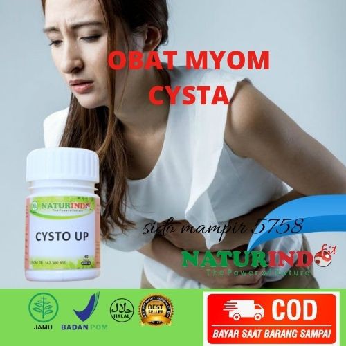 Jual Obat Kista dan Miom Ovarium Obat Herbal Kista Bartholin Obat ...