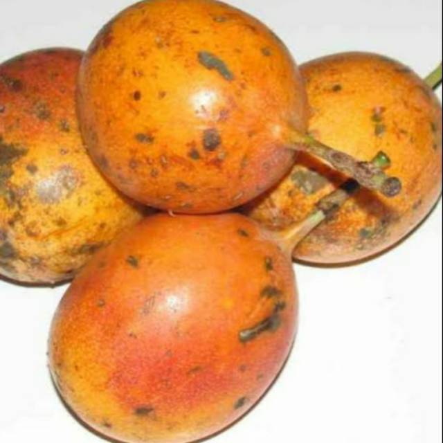 BUAH MARKISAH MEDAN MANIS | Shopee Indonesia