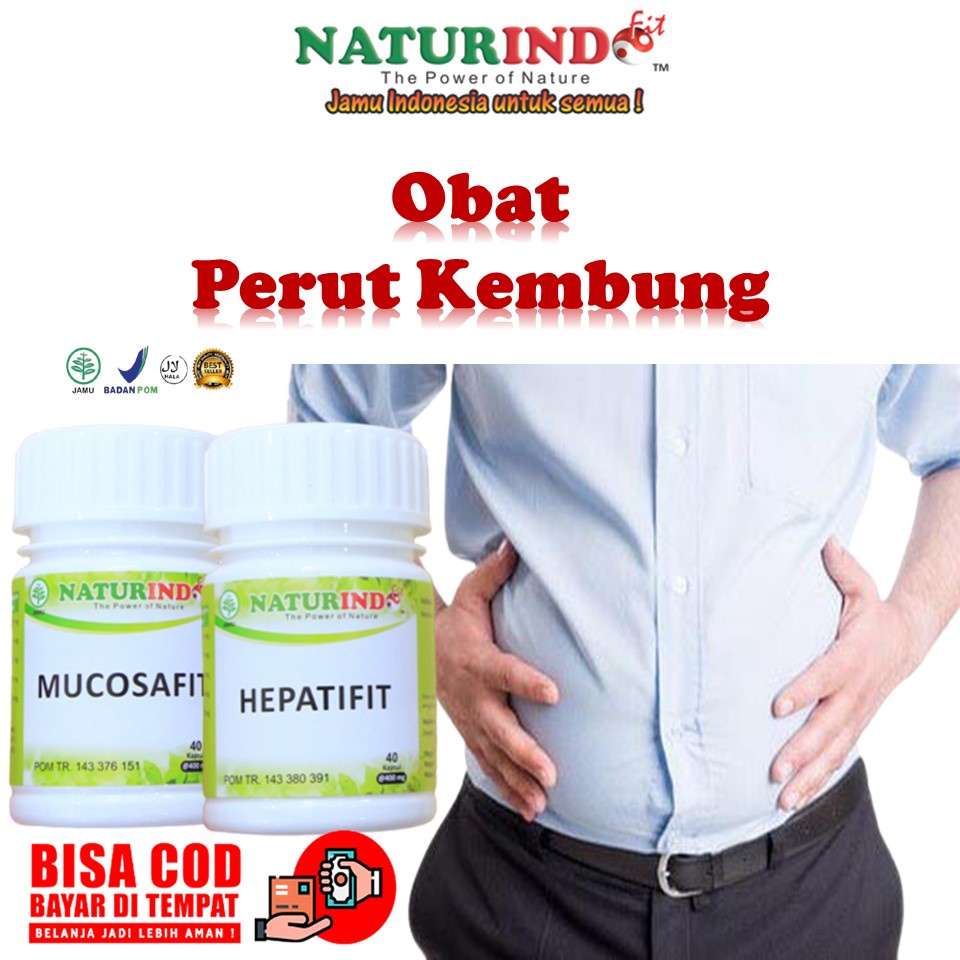Jual Obat Perut Kembung Perut Begah Sakit Lambung Masuk Angin Herbal ...