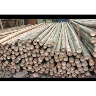 Jual JUAL BAMBU STEGER UK. 8/10 (MIN ORDER 50 BATANG) | Shopee Indonesia