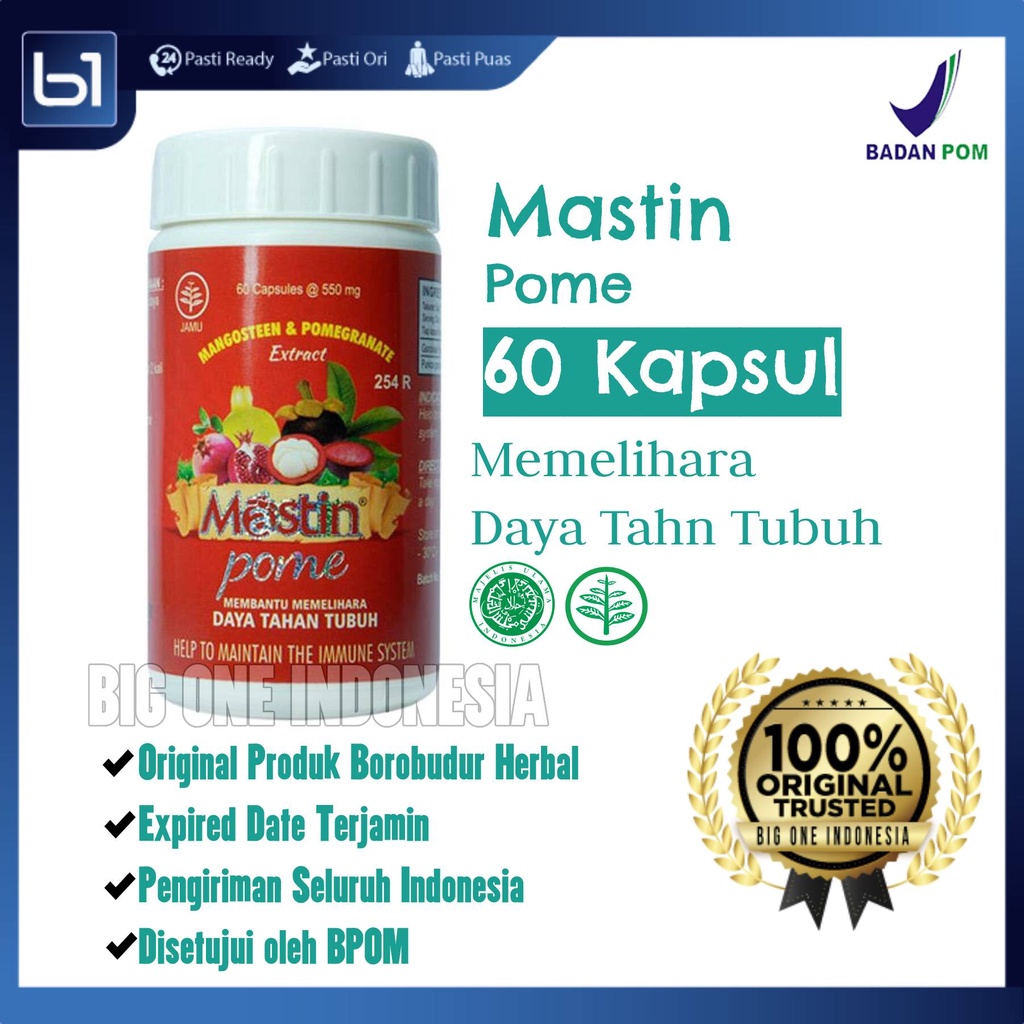 Jual MASTIN POME Borobudur Herbal 60 Kapsul Herbal Tradisonal, Ekstrak ...