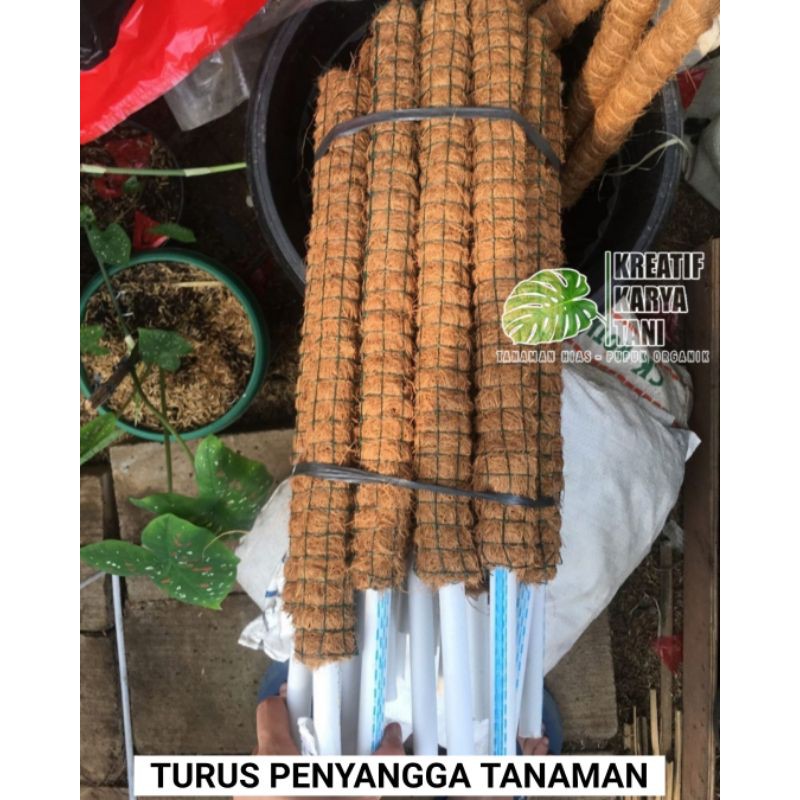 Jual Turus penyangga tanaman - Tiang tanaman rambat - Turus sabut ...
