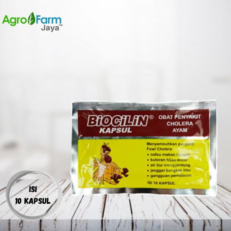 Jual Biocilin Obat Ayam Sakit Kolera Gak Mau Makan Lesu Jengger Bengkak ...