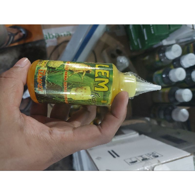 Jual Lem Hama Lem Kaper 100 ml Lem Kupu | Shopee Indonesia