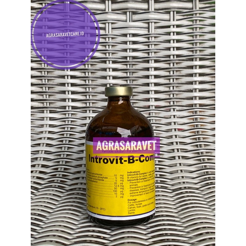 Jual INTROVIT B COMPLEX 100 ml - (VIT B-COM B12 + BIOTIN) | Shopee ...