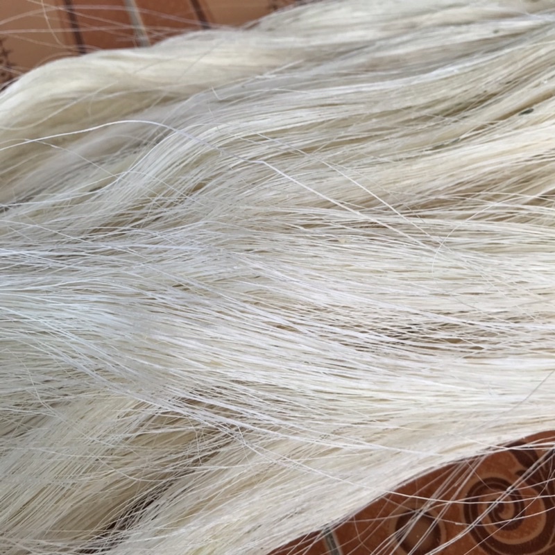 Jual Serat Sisal / Serat Sisalana Agave / Serat Nanas / Agave Sisalana ...
