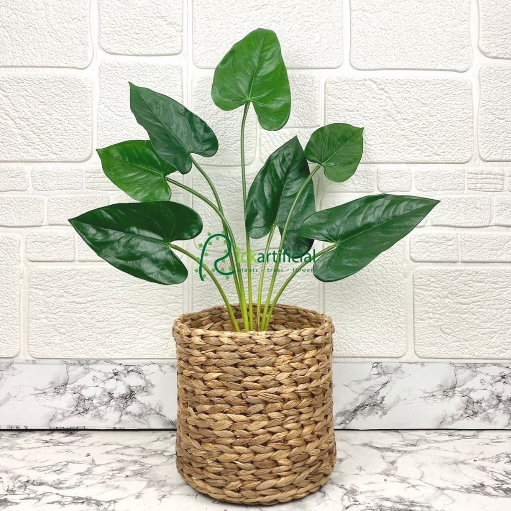 Jual Pohon Daun Talas X7 Latex Artificial Cover Eceng Gondok Dekorasi ...