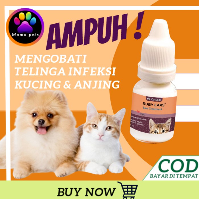 Jual obat tetes telinga kucing obat kutu hewan kucing & anjing infeksi ...