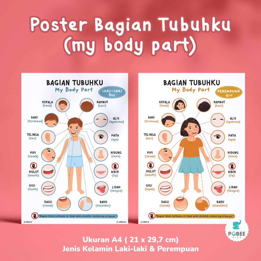 Jual Poster Edukasi | Poster Anak | Poster Anatomi Tubuh | Poster ...