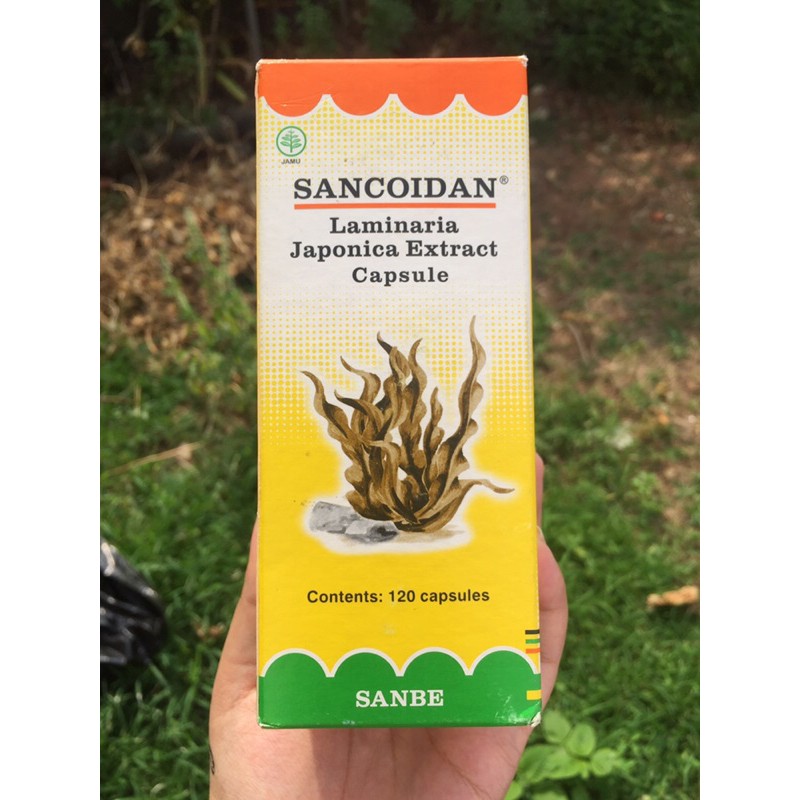 Harga laminaria japonica Terbaru Feb 2026 | BigGo Indonesia