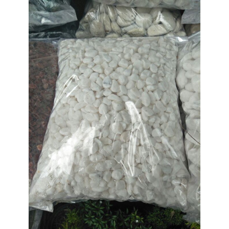 Jual Batu Kerikil Koral Putih Untuk Hiasan Akuarium dan Tanaman 1kg ...