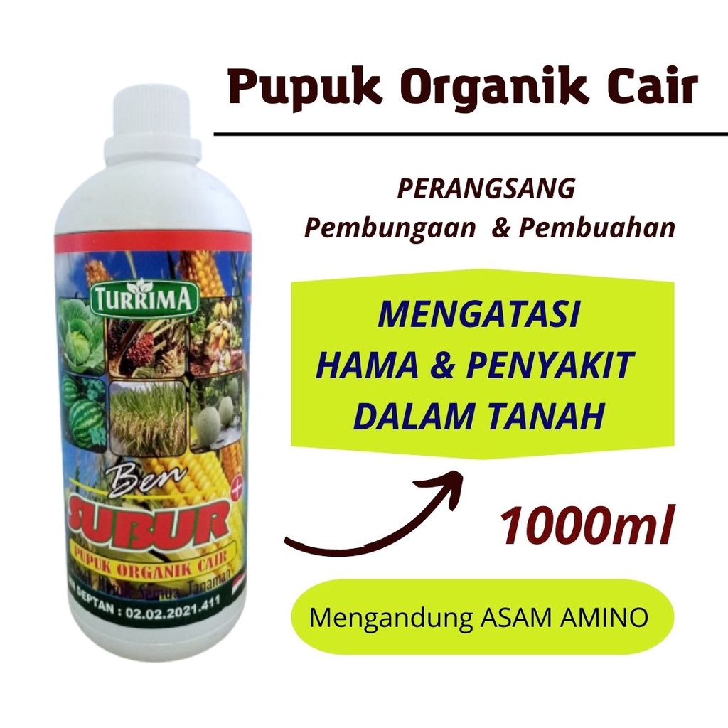 Jual Pupuk Cair Organik BEN SUBUR, Pupuk Organik Cair Atasi Penyakit dalam Tanah dan Penyubur ...
