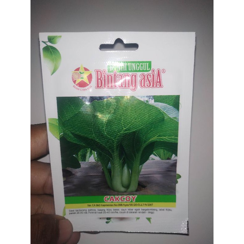 Jual BENIH PAKCOY CAKCOY (BESAR DAN LEBAT) | Shopee Indonesia