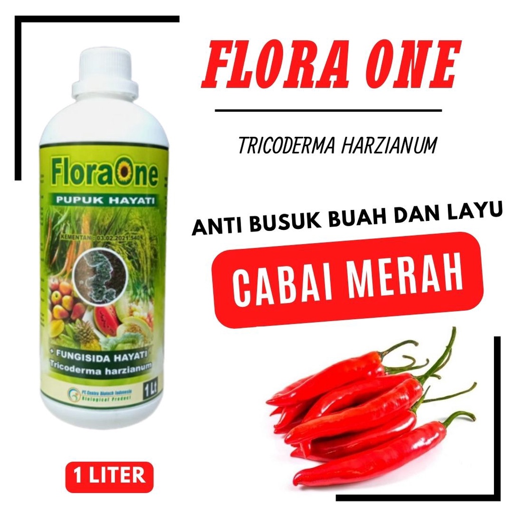 Jual Fungisida Hayati Tricoderma Obat Patek Pada Cabai Rawit, Pupuk Cair Buah Obat Patek Tanaman ...