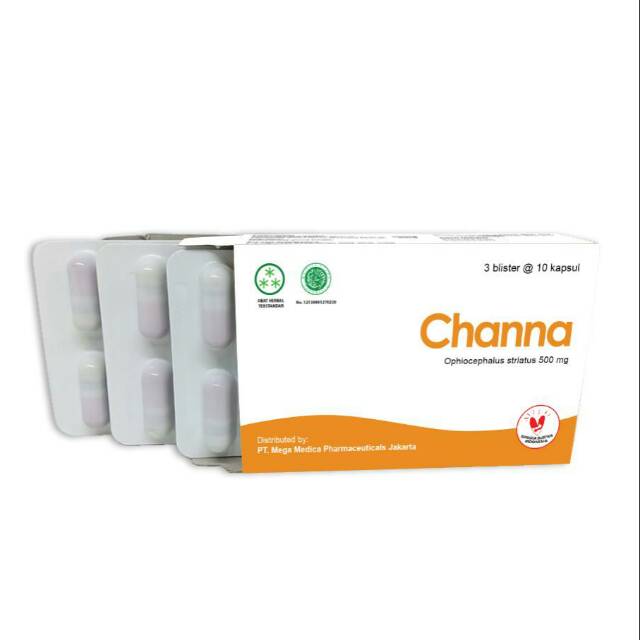 Jual CHANNA STRIATA 500mg ( PROMO min 5box free instance gel) | Shopee ...