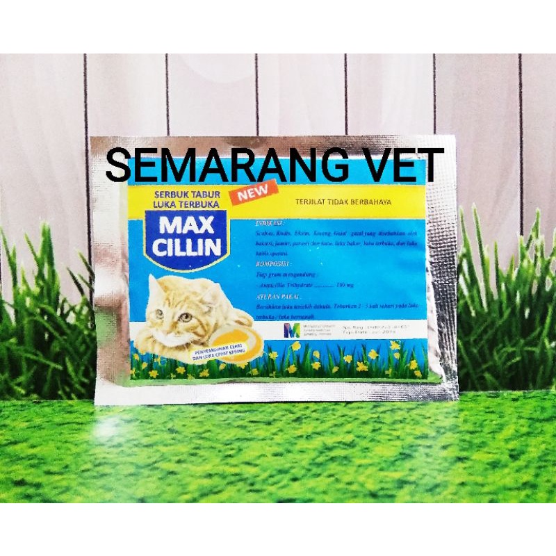 Jual MAXCILLIN Obat Tabur Luka Terbuka Kucing Obat Luka Scabies Eksim ...