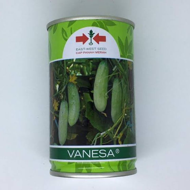 Jual Benih Timun Vanesa F1 50 Gram | Shopee Indonesia