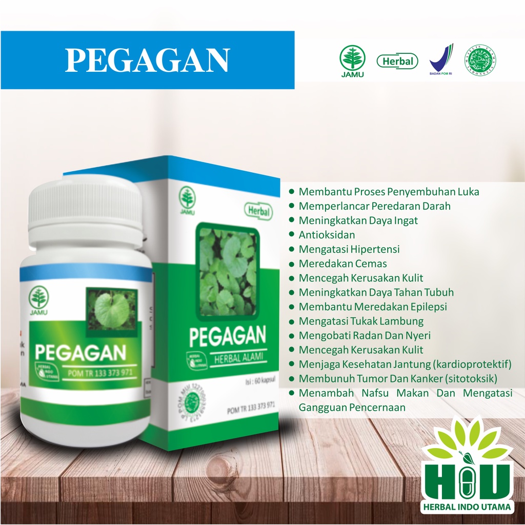Harga Ekstrak Pegagan Terbaru Agustus 2024 |BigGo Indonesia