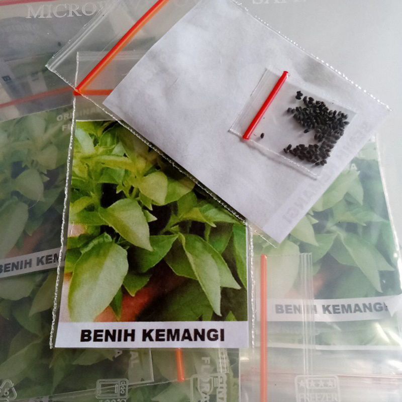 Jual Biji Kemangi Benih Kemangi Siap Semai | Shopee Indonesia Jual Biji Kemangi Benih Kemangi Siap Semai | Shopee Indonesia