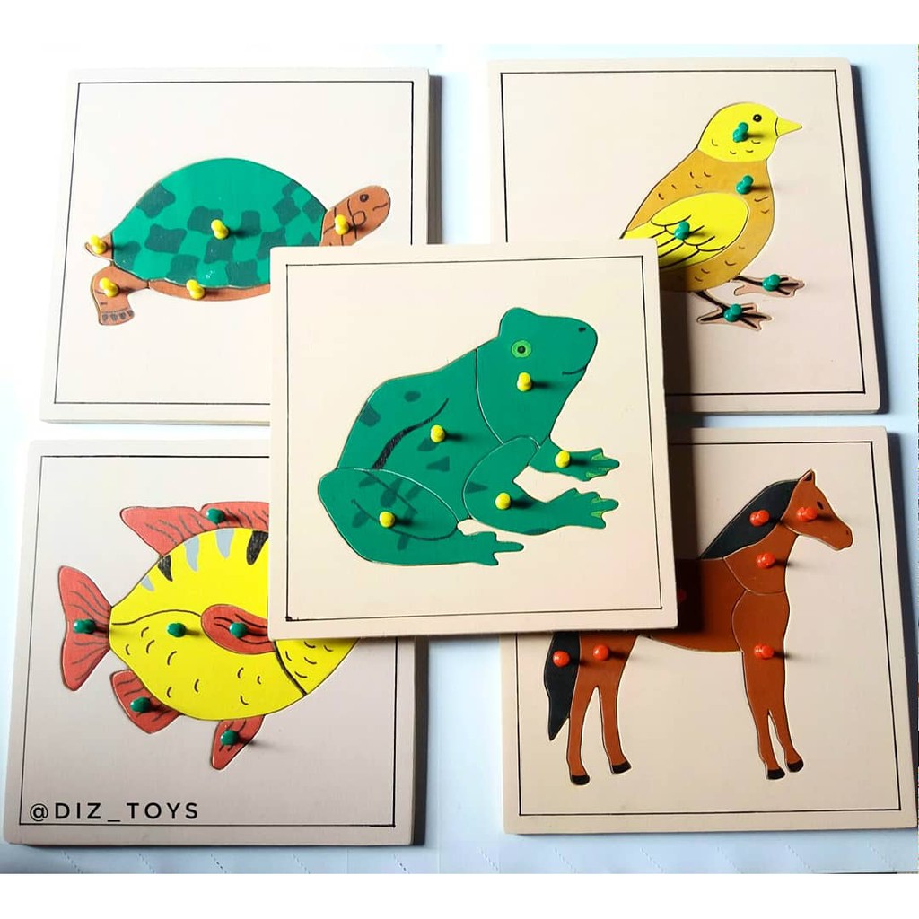Zoology Puzzle Montessori | Shopee Indonesia