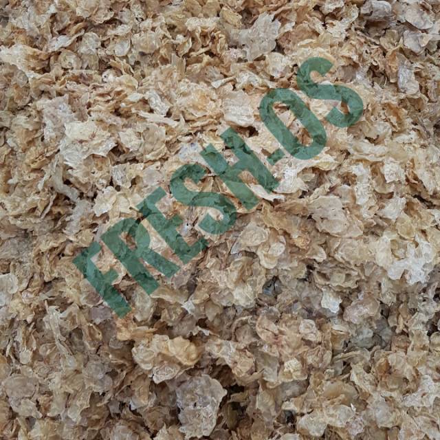 Jual Fish Maw Perut Ikan hepio hupio hephiau yi phiau manyung hipio ...