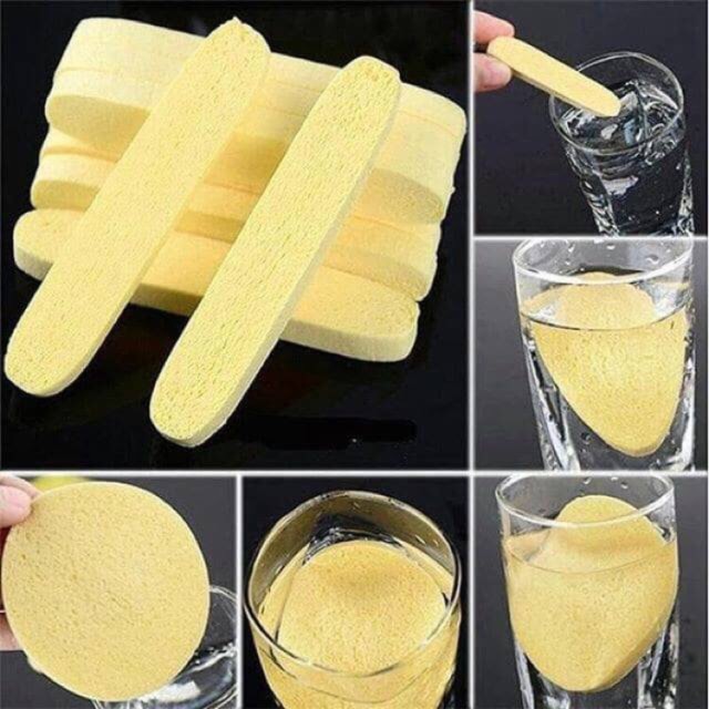 Jual PROMO FACIAL SPONGE STICK 12 BATANG / PACK SPONS KENTANG WAJAH ...