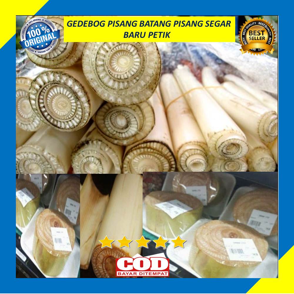Jual Gedebog Pisang Segar Pohon Batang Pisang 500 Gram Baru Petik Obat ...