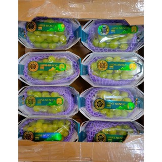 Jual Anggur shine muscat MIKA atau TRAY / harga per pack | Shopee Indonesia