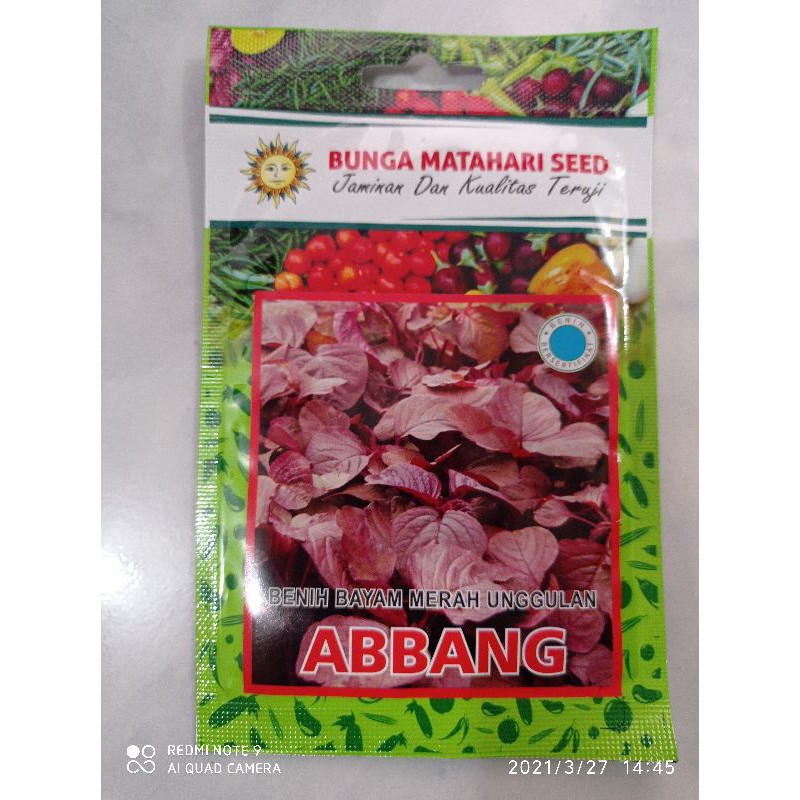 Jual Benih Bayam Merah Abbang Kemasan Small Pouch 15 gr Matahari Seed ...