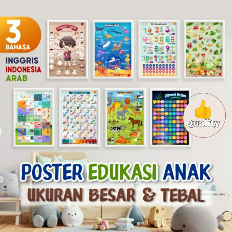 Jual Jc Acc POSTER ANAK BESAR & TEBAL | POSTER DINDING GAMBAR EDUKASI ...