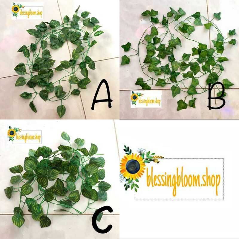 Jual Daun Rambat 1.75 - 2 meter | Shopee Indonesia