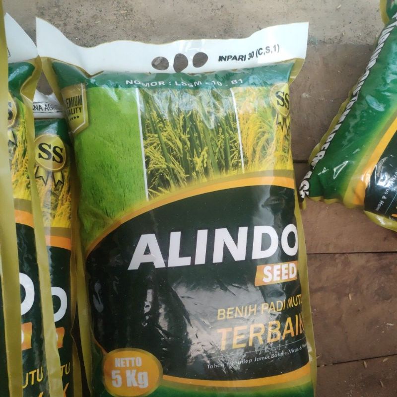 Jual BENIH PADI INPARI 30 BIBIT PADI UNGGUL | Shopee Indonesia