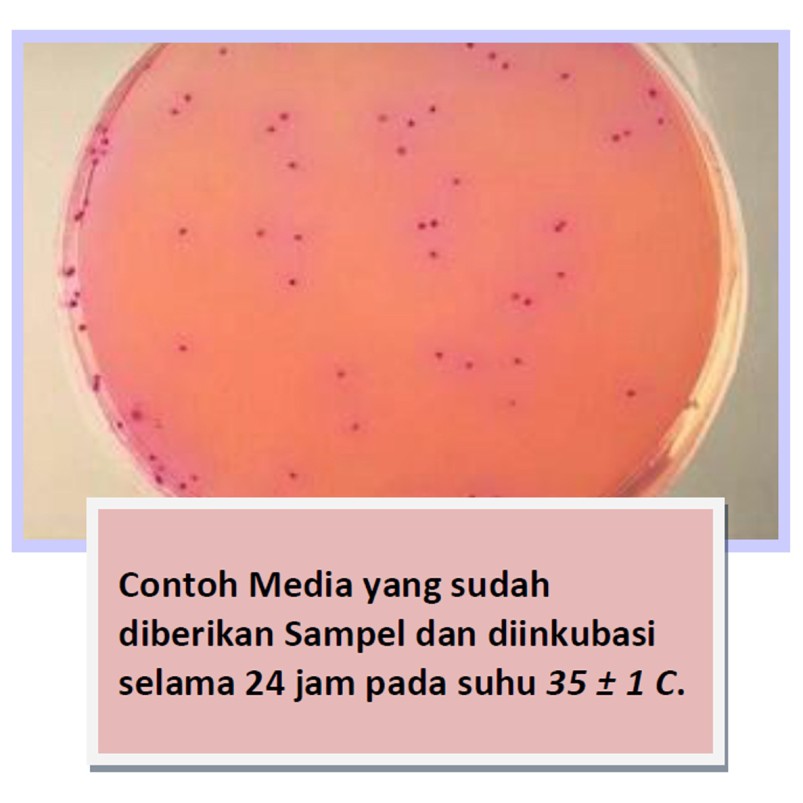 Jual Deteksi Koliform - Reagent Deteksi Coliform - Mikroorganisme Test ...