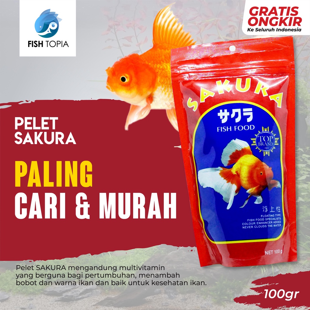 Jual MAKANAN IKAN SAKURA PELET IKAN HIAS PELLET IKAN KOI GUPPY MOLLY ...