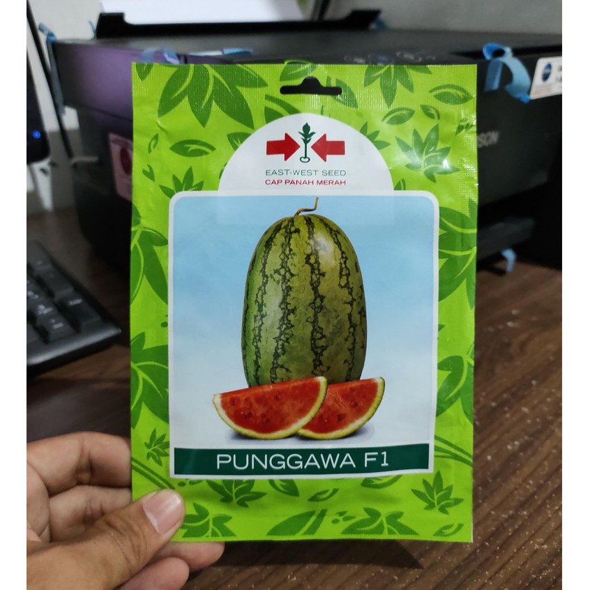 Jual PM - benih SEMANGKA PUNGGAWA F1 isi 80 biji - benih semangka merah ... Jual PM - benih SEMANGKA PUNGGAWA F1 isi 80 biji - benih semangka merah ...