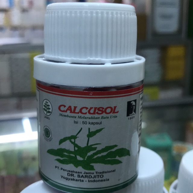 Harga Calcusol Terbaru Juni 2024 |BigGo Indonesia