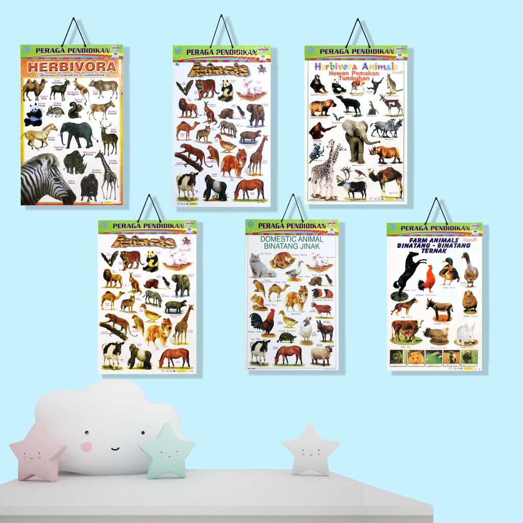 Jual Poster Edukasi Anak Mainan Edukasi Nak Bingkai Animals Binatang ...