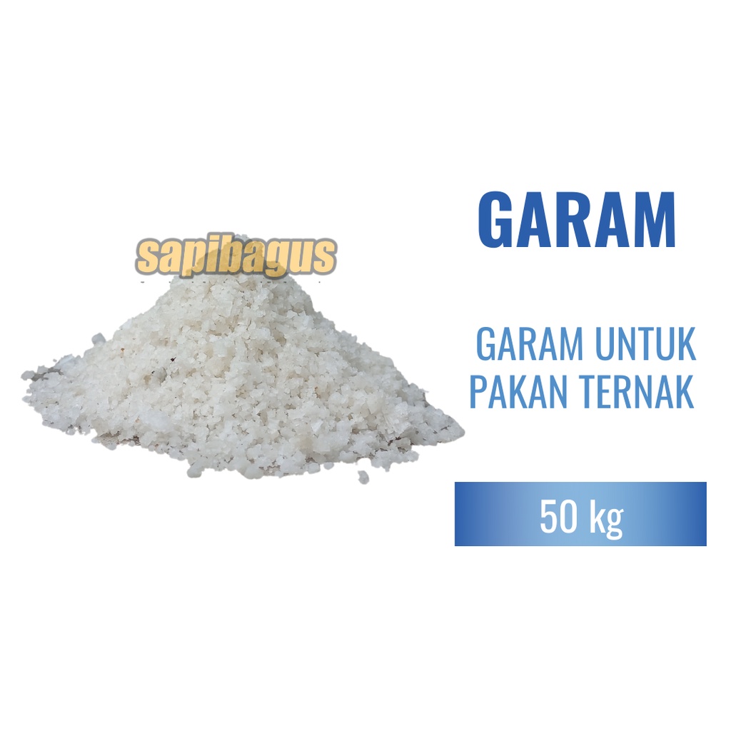 Jual Garam 50 kg - Garam Untuk Pakan Ternak - Sapibagus | Shopee Indonesia