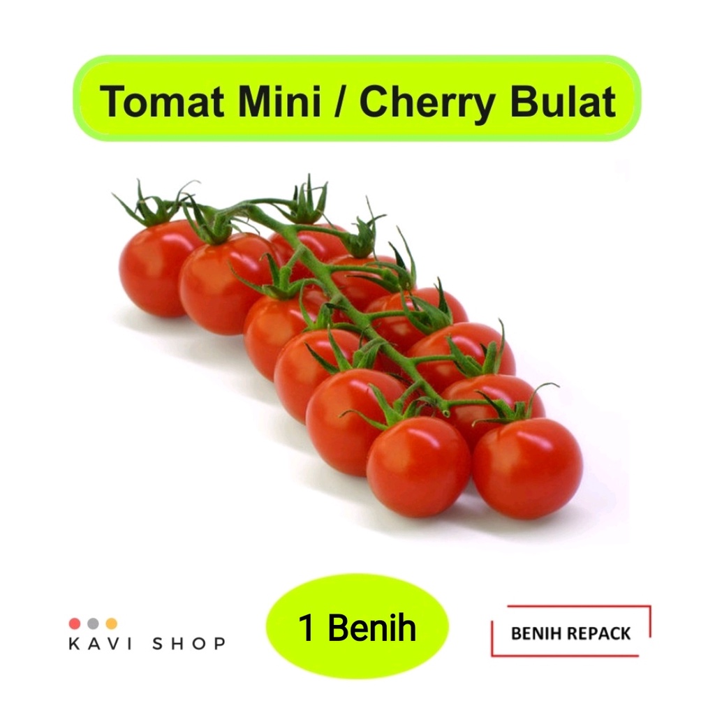 Jual Benih - Biji - Bibit - Tomat Cherry Bulat mini - ECERAN | Shopee ...