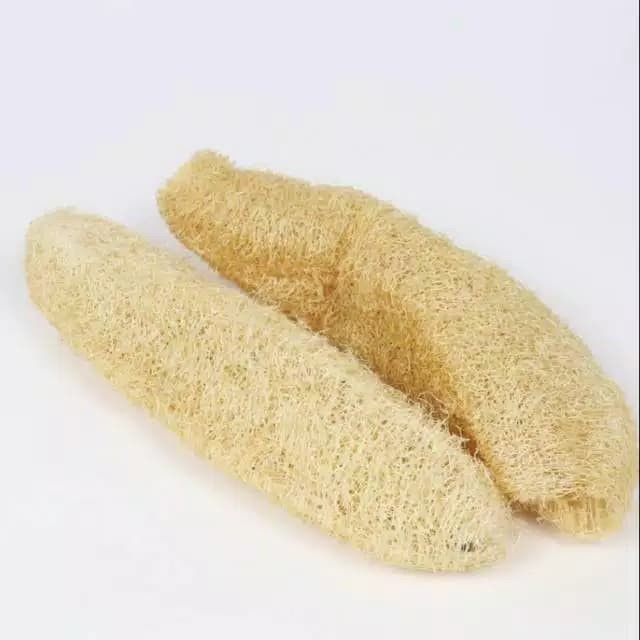 Jual Oyong Kering / Gambas Oyong Kering / Loofah Lufah Luffa Kering ... Jual Oyong Kering / Gambas Oyong Kering / Loofah Lufah Luffa Kering ...