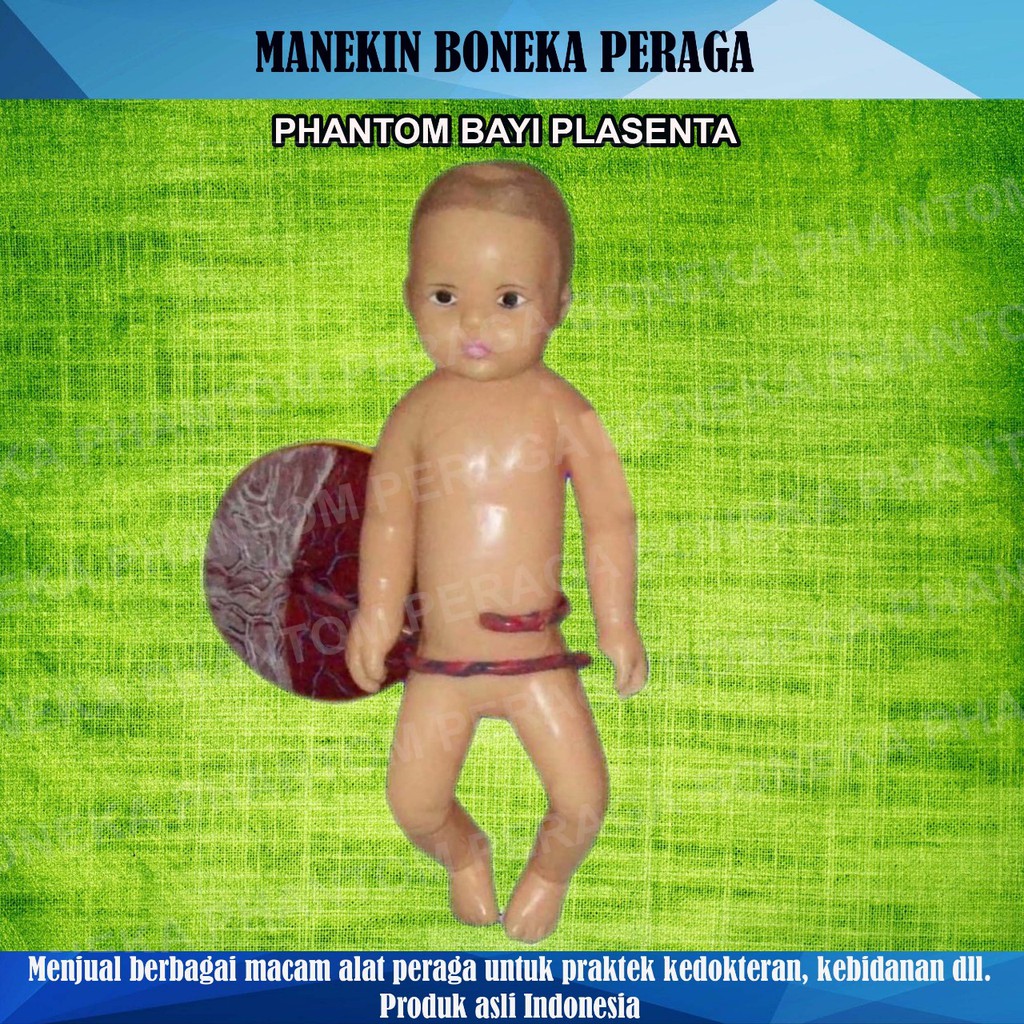 Jual BONEKA PERAGA / MANEKIN / PHANTOM BAYI PLASENTA/TALI PUSAR ...