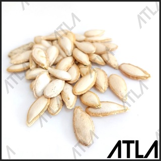 Jual Benih Labu Parang REPACK Bibit Tanaman Biji Buah Pumpkin Waluh ...