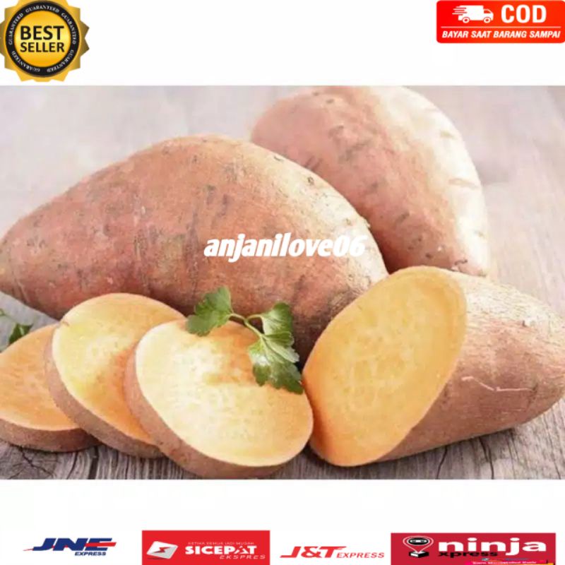 Jual Ubi Umbi jalar kuning/ketela kuning 1kg | Shopee Indonesia