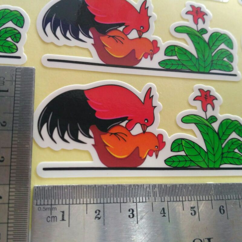 Jual Sticker Ayam Kawin dan Ayam Jomblo | Shopee Indonesia