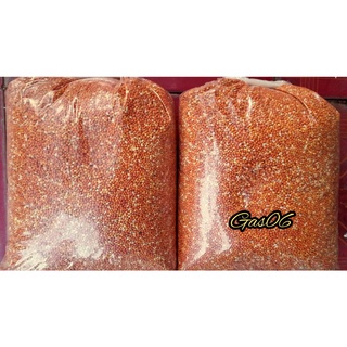 Jual (1KG) BIJI JEWAWUT/JUWAWUT/JAWAWUT/FOXTAIL MILLET/BIJI KUNYIT ...