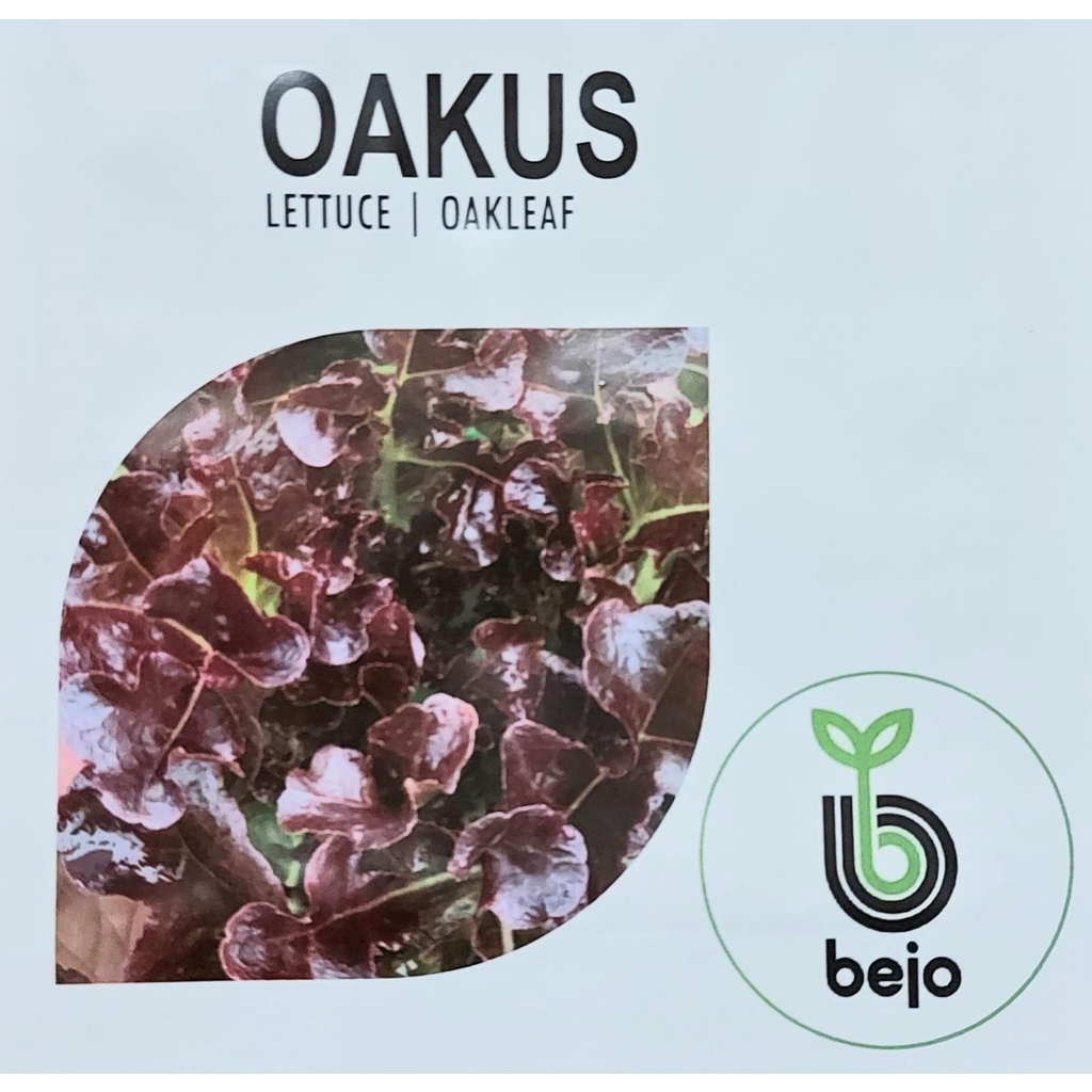 Jual Benih Bejo Seed - Selada Red Oakleaf Oakus Kemasan Repack 100 ...
