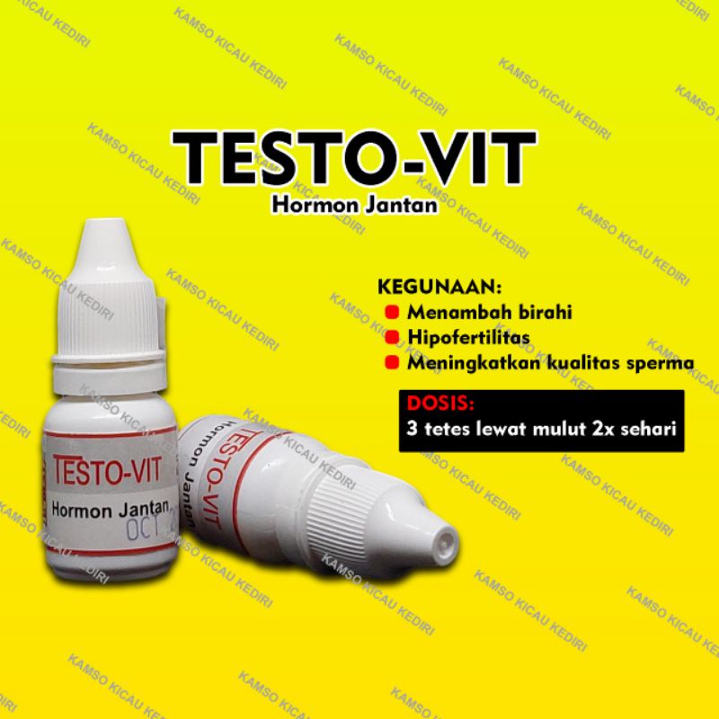 Jual TESTO VIT TESTO-VIT DRH JATMIKO OBAT HORMON JANTAN BURUNG SOLUSI ...