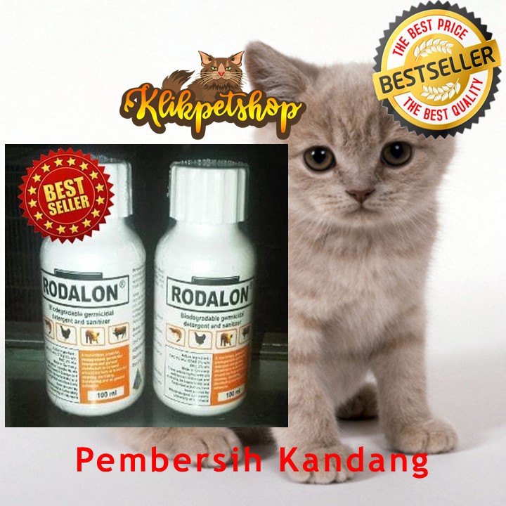 Jual ORIGINAl Rodalon Antiseptik Obat Kutu Disinfektan Ampuh Pembersih ...
