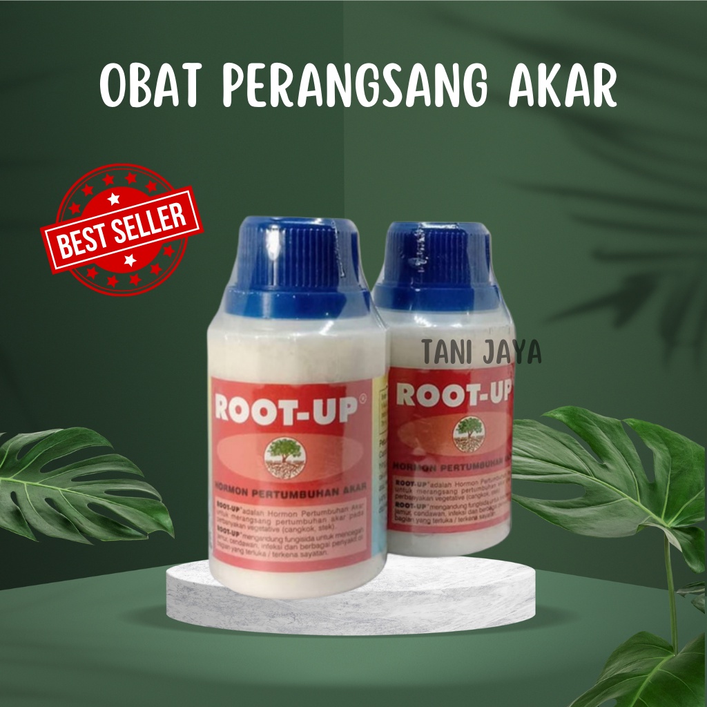 Jual Root Up 100 gram hormon perangsang akar cangkok dan stek | Shopee ...